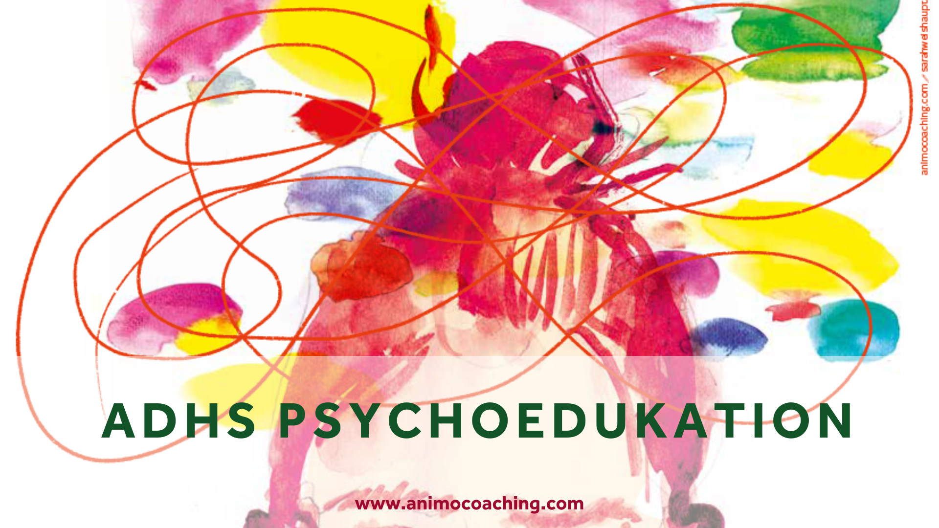 ADHS Psychoedukation – einfach spannend gemacht! | Animo Coaching